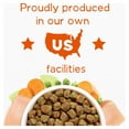 Purina Beneful Dry Dog Food, Simple Goodness With Farm Raised Chicken ...