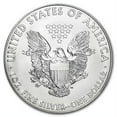 2013 (S) American Silver Eagle MS-69 NGC (Early Releases) - Walmart.com