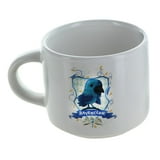 Harry Potter House Ravenclaw LookSee Box - Walmart.com