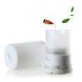Waterless Diffusers for Essential Oils,Aromatherapy Nebulizing Diffuser ...
