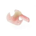Nesbit | Partial Denture - Walmart.com