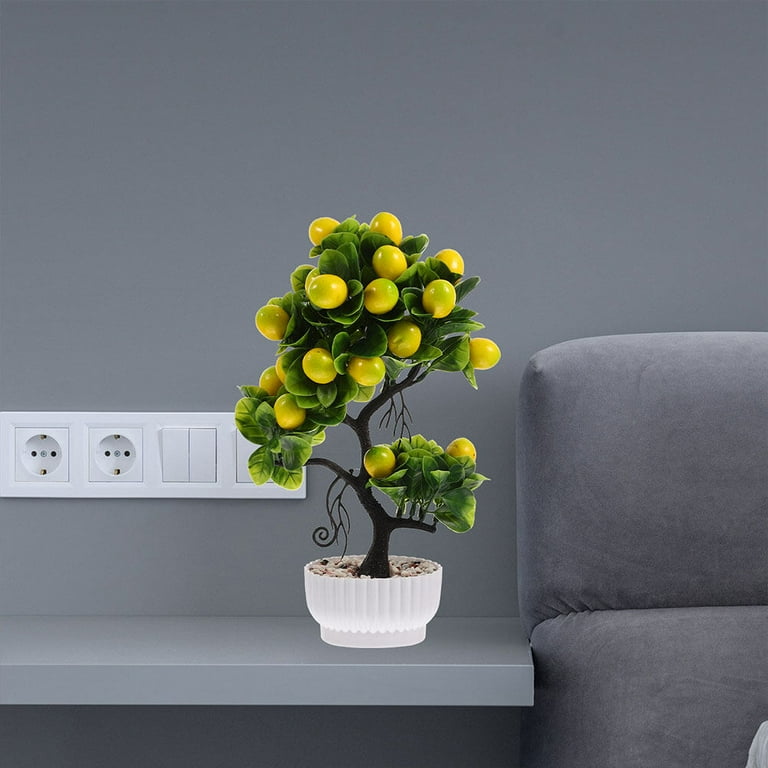 Lemon Bonsai Tree