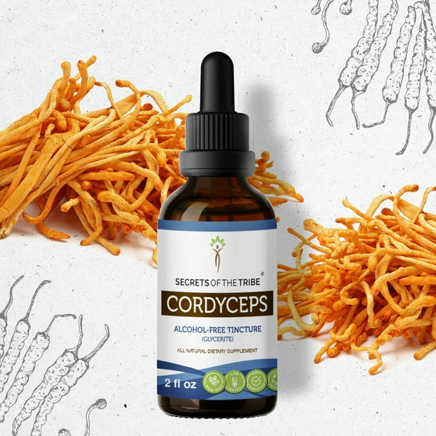 Cordyceps Tincture Alcohol Free Extract Organic Cordyceps Cordyceps