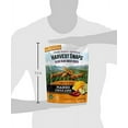 Harvest Snaps Black Bean Snack Crisps Mango Chile Lime, 3.0 Oz (Pack Of ...