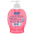 Softsoap Limited Edition Apple Spice Liquid Hand Soap, 7.5 oz - Walmart.com