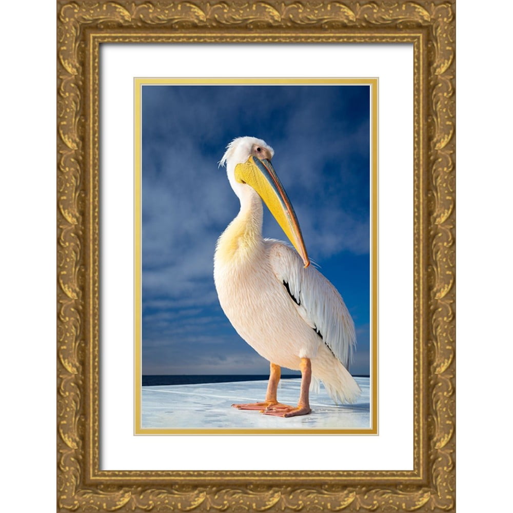Tsarfin, Alex 11x14 Gold Ornate Wood Framed with Double Matting Museum Art Print Titled - Shy ...