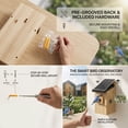 Nest Box Camera Live Nestbox with Bird Nesting Birdhouse Inside Houses ...
