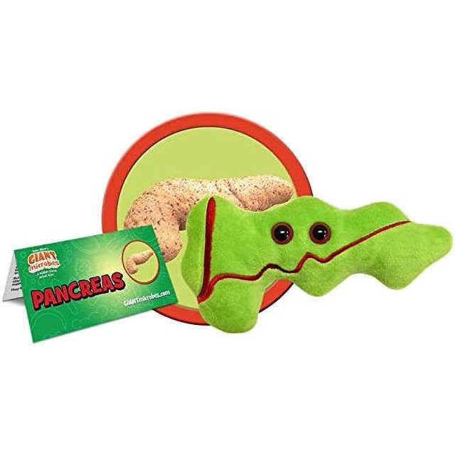 GIANTmicrobes Pancreas Plush - Walmart.com