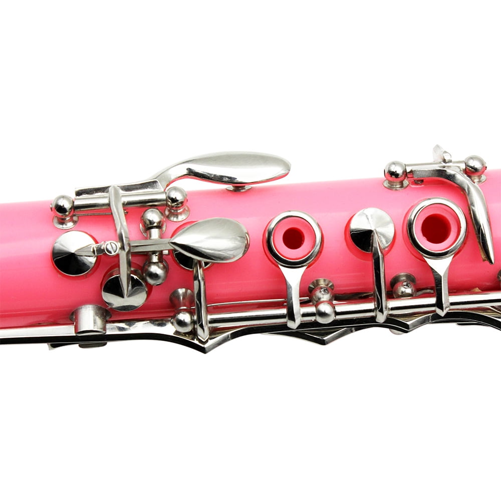 Pink Clarinet Instrument