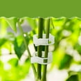 jiacuix Tomato Clips Garden Flower Vegetable Binder Plant Support ...