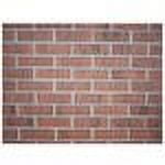 Z-Brick ZC015205 Carton Of 20 Red Classic Brick Facing - Walmart.com