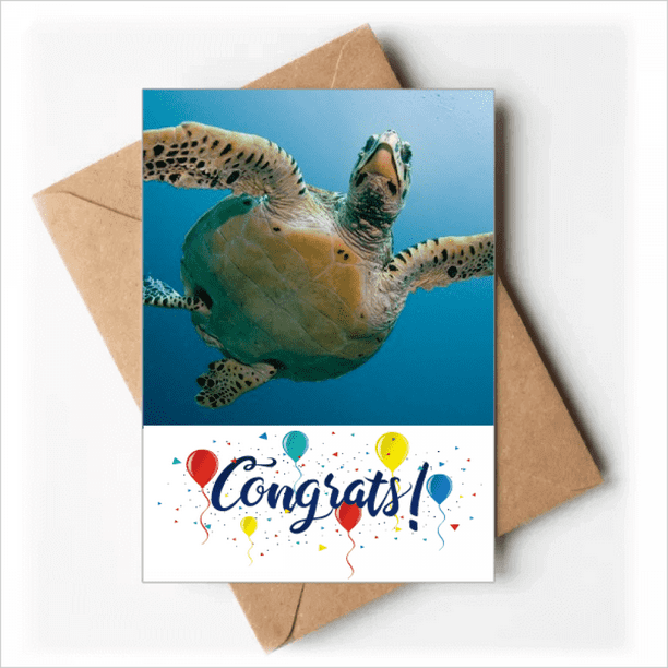 Ocean Blue Water Turtle Science Nature Picture Wedding Cards ...