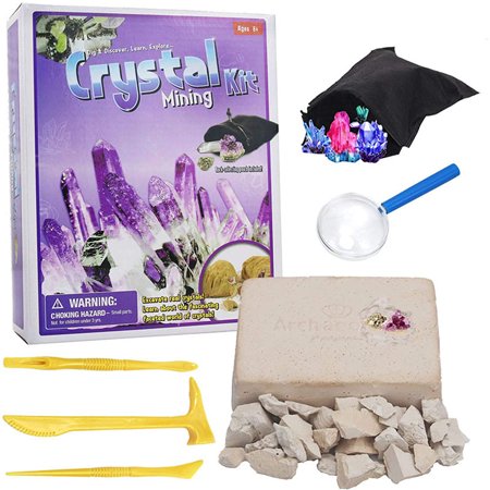Kids Stone Dig Kit Fossils Digging And Excavation Kit Kids Tone Dig Kit ...
