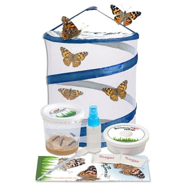 "Live Kids Butterfly Growing Garden Kit - Bug Raising Cage - 12"" Tall ...