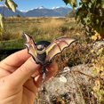 Bat Hoary Badge Reel ID holder: Gift for Nurses, Animal Lovers, vet ...
