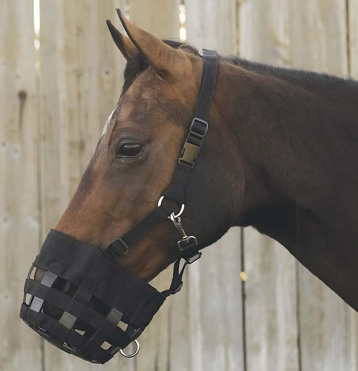 Best Friend Padded Leather Crown Grazing Muzzle (Horse, Black ...