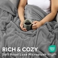 Electric Royal Luxe Microplush Heated Blanket, 12 Heat Settings, 12 ...