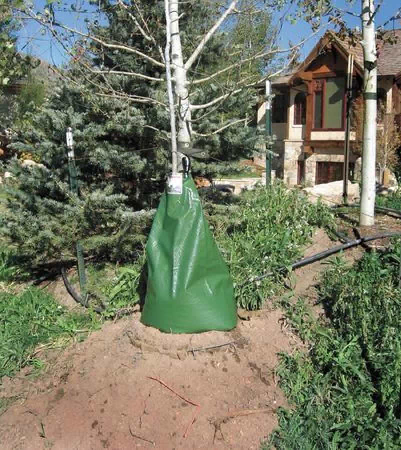 Treegator Tree Watering System - Walmart.com