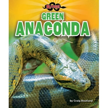 Amazing Animals: Amazing Animals: Iguanas (Paperback) - Walmart.com