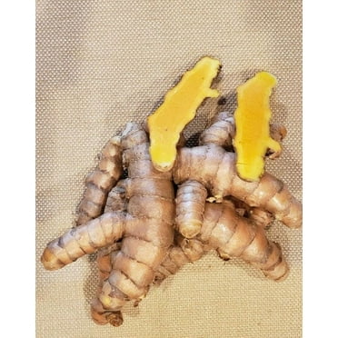 HUANYUN Fresh Yellow Turmeric Root, Mild Flavor, 2 Lbs, Ideal for ...