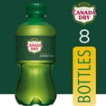 Canada Dry Caffeine Free Ginger Ale Soda Pop, 12 fl oz, 8 Pack Bottles ...