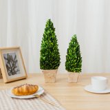 BOXWOOD WORLD Preserved Boxwood Cone Topiary in Planter Home Decor ...