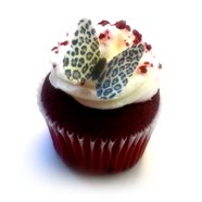 Natural Leopard Print Edible Icing image Cake Topper - Walmart.com