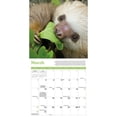 Carousel Calendars, Sloths 2025 Mini Wall Calendar - Walmart.com