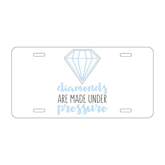 Vanity License Plates Front Car