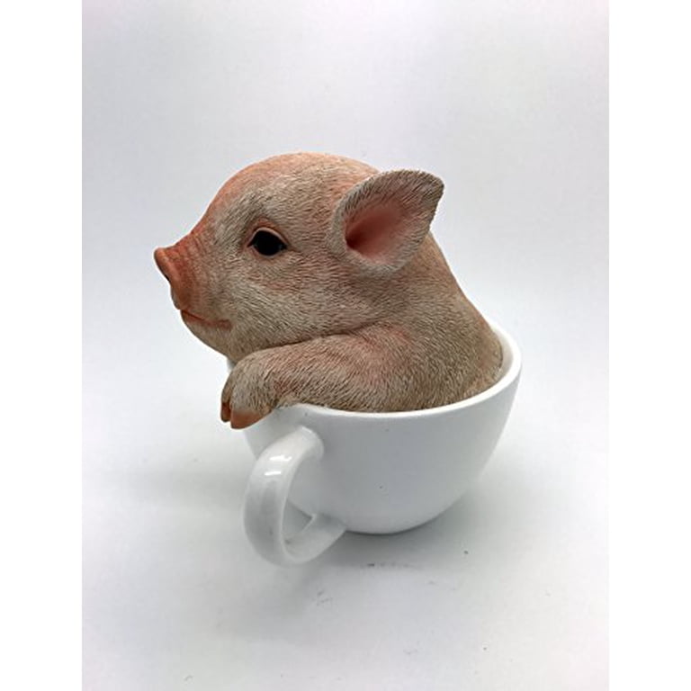 Teacup Pig