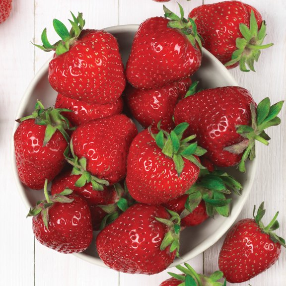 Garden Center - Walmart.com