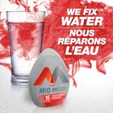 MiO Strawberry Watermelon Liquid Water Enhancer, 48mL - Walmart.ca