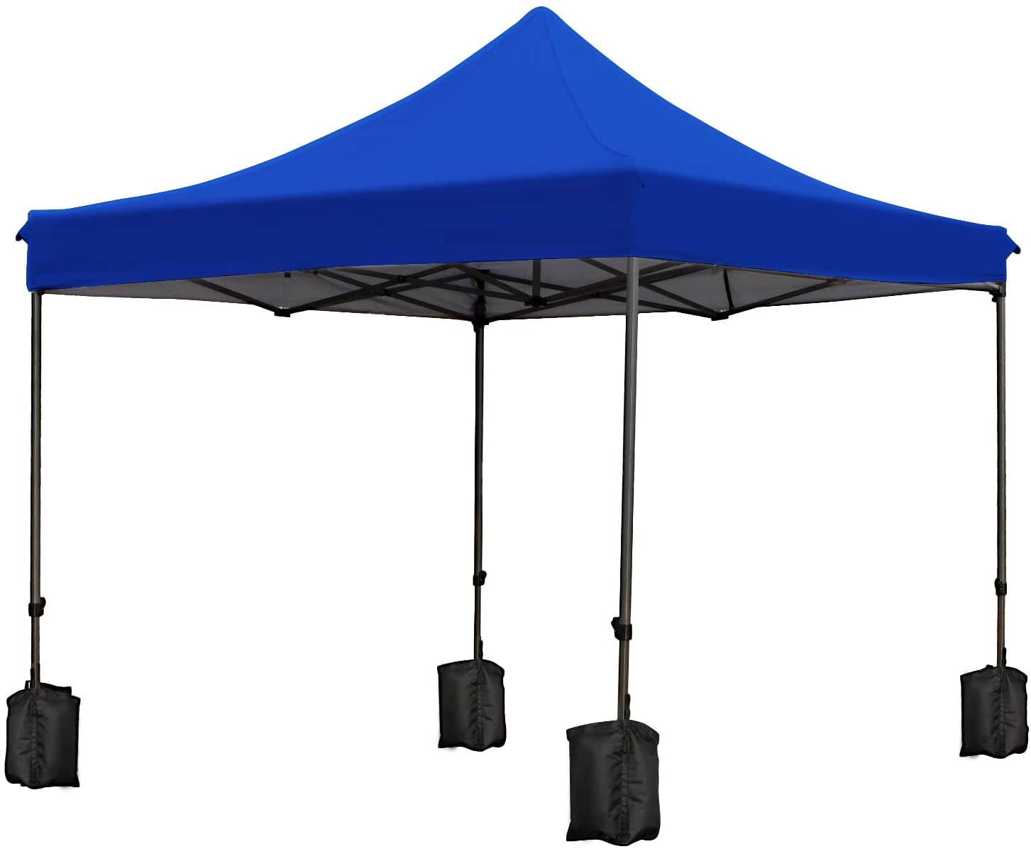 FDW 10 x 10 pop-up awning tent pavilion portable folding belt 4 ...