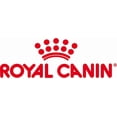 Royal Canin British Shorthair Cat Wet Food in Gravy 12x85g - Walmart.com