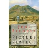Picture Perfect (Paperback) - Walmart.com