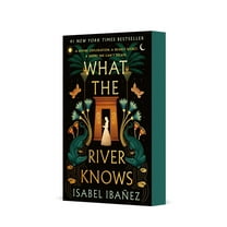 Where the Library Hides: A Novel (Paperback) - Walmart.com
