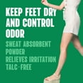 Lotrimin Daily Sweat and Odor Control Medicated Foot Powder, 6.25 oz ...