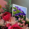 3drose, Deep Purple Morning Glory Climbing Plant-funnel Shaped Morning ...