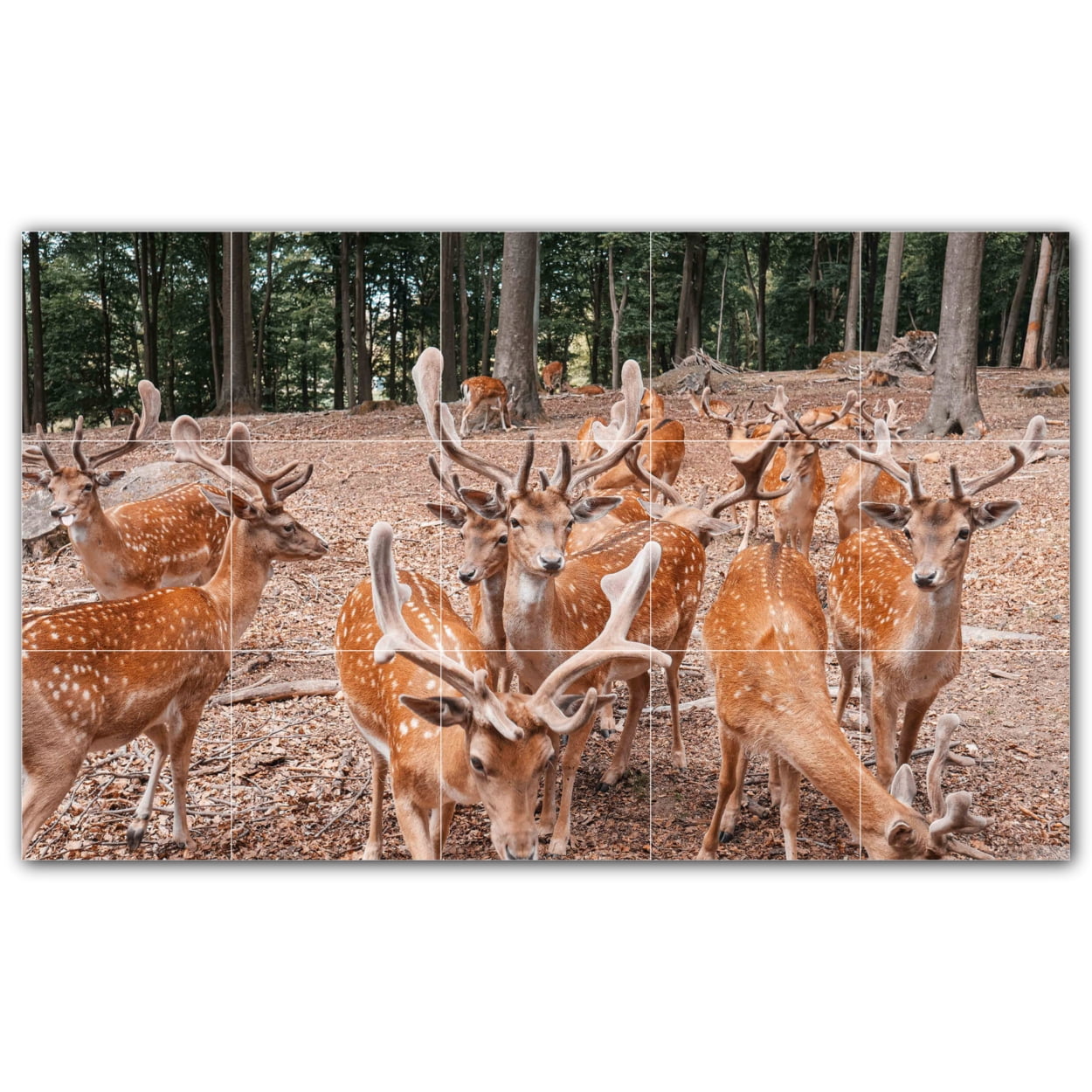 Picture-Tiles.com: Deer Ceramic Tile Wall Mural WAL500467-53M. 30"W x ...