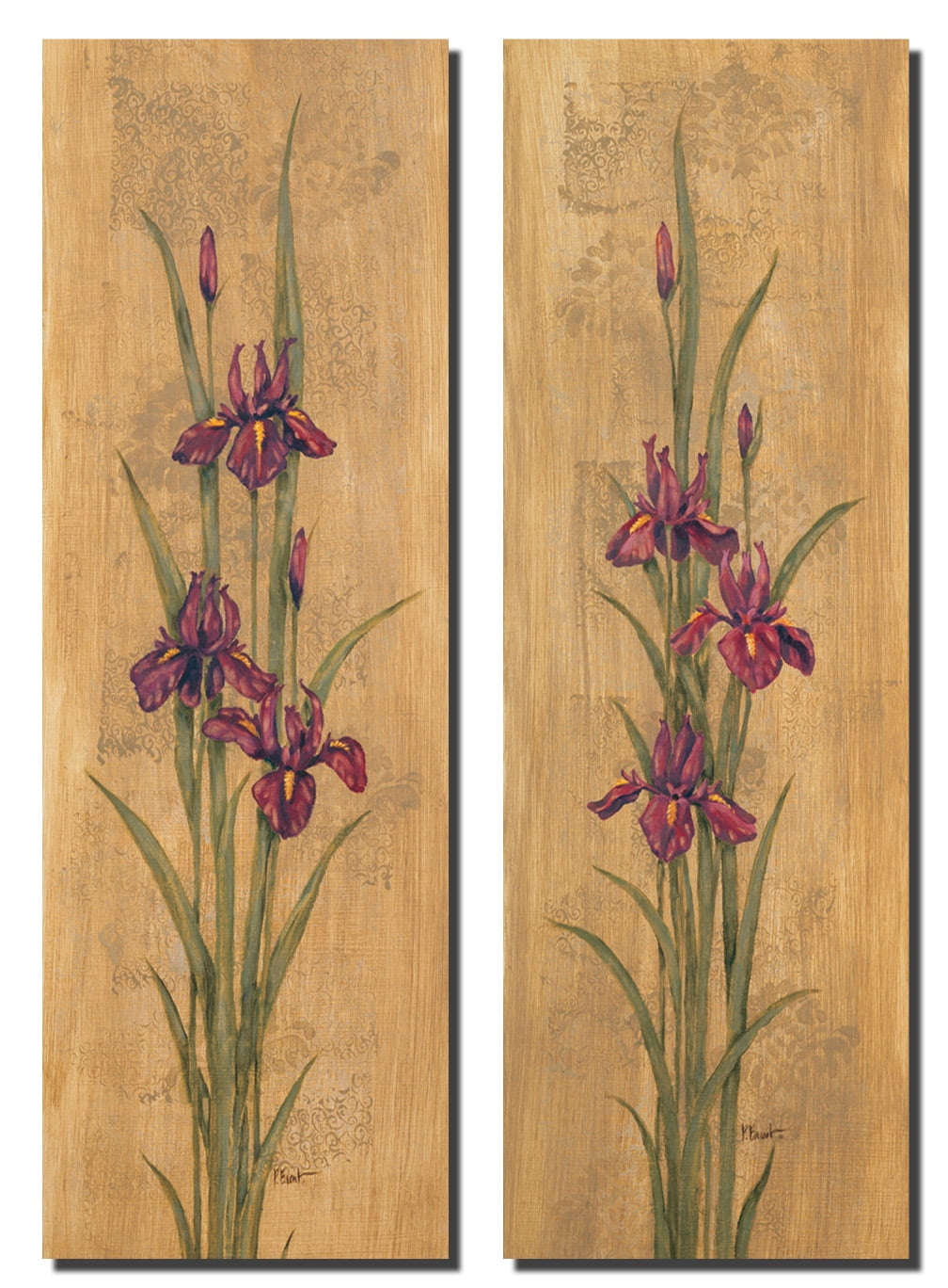 Iris Of Delos I Lovely Burgundy Greek Iris, Floral Decor; Two 8X20 ...