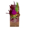 Watchover Voodoo Doll - The Princess - Walmart.com