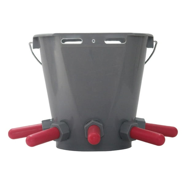 8L Bucket with 5 Replaceable Nipples for Mule, Donkeys, s, Sheep ...