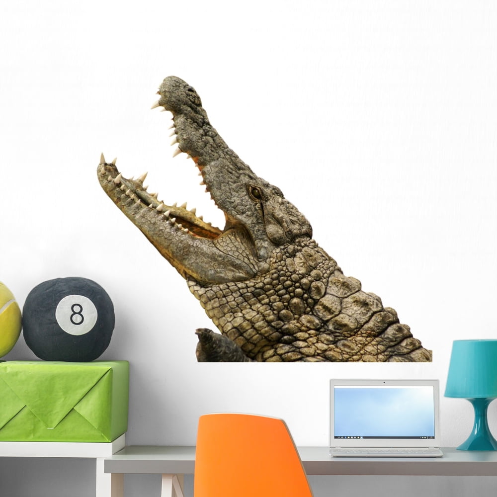 Alligator Freigestellt Wall Decal by Wallmonkeys Peel and Stick Graphic ...