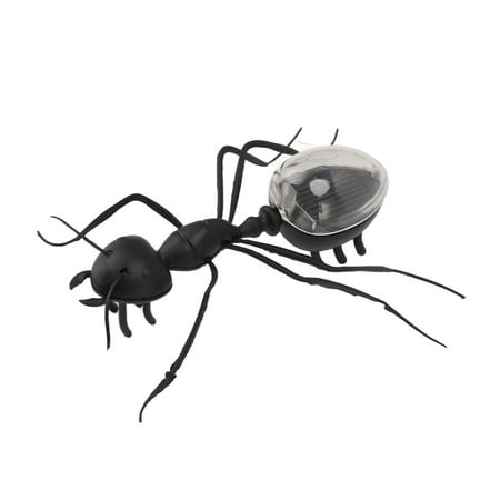 Solar Power Ants Toy, Stimulate Curiosity Portable Solar Ants Toy ...