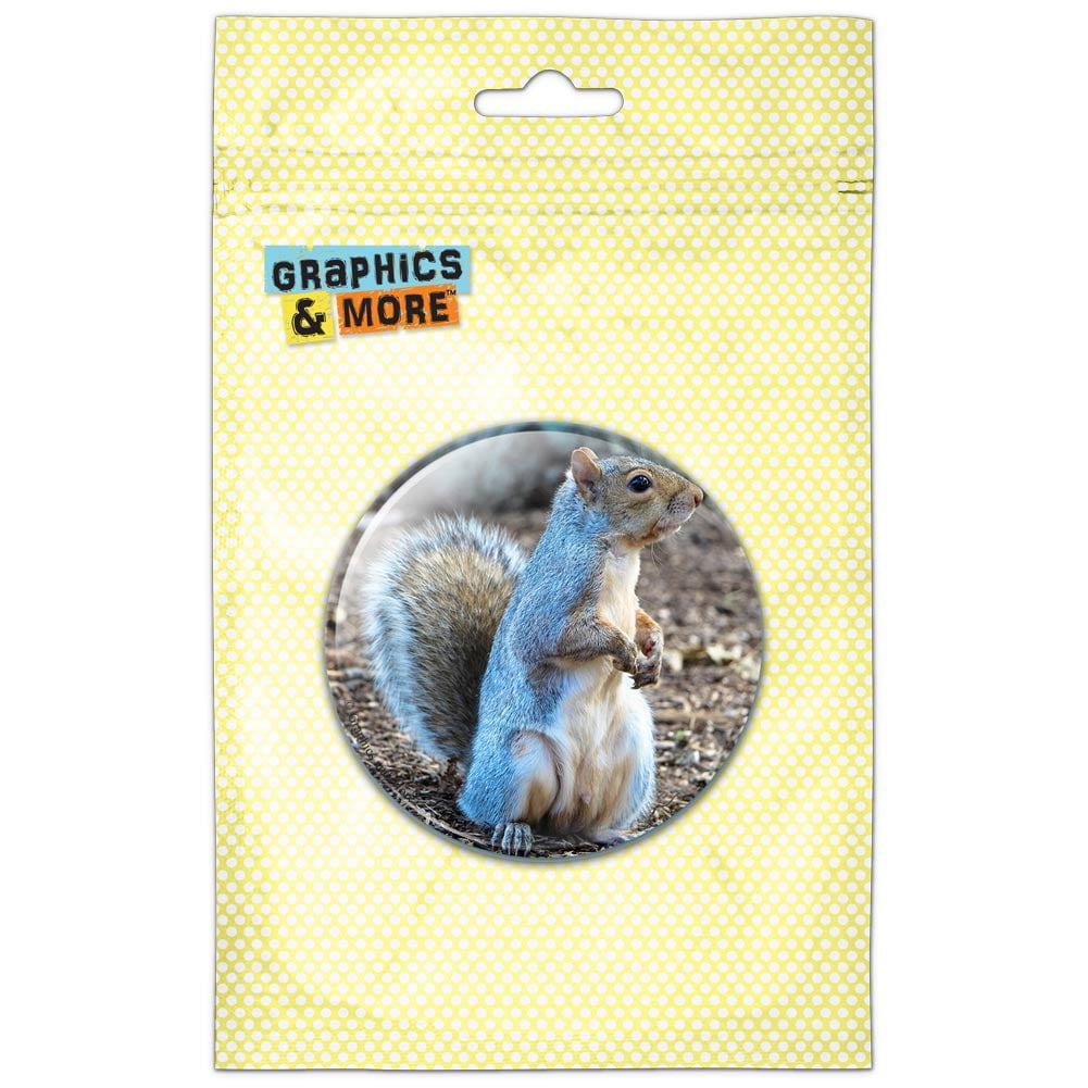 Squirrel Profile Refrigerator Button Magnet - Walmart.com