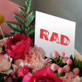 3drose, Star Styled Red Text Rad Against the White Background, 1 ...
