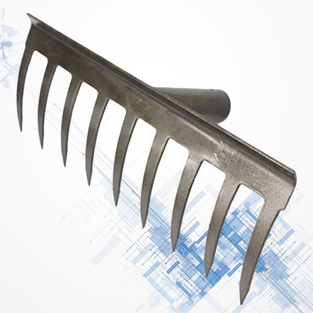 Kalaykay Clipart School