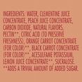 Sanpellegrino Italian Sparkling Drink Zero Sugar Variety Pack Peach ...