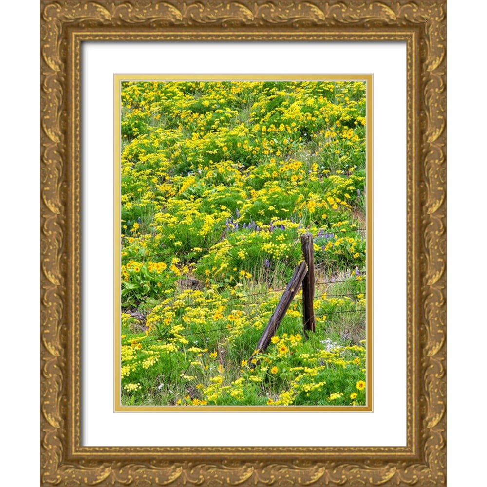 Eggers, Terry 19x24 Gold Ornate Wood Framed with Double Matting Museum ...