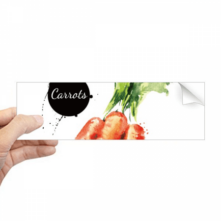 Carrot Vegetable Tasty Healthy Watercolor Rectangle Bumper Sticker ...